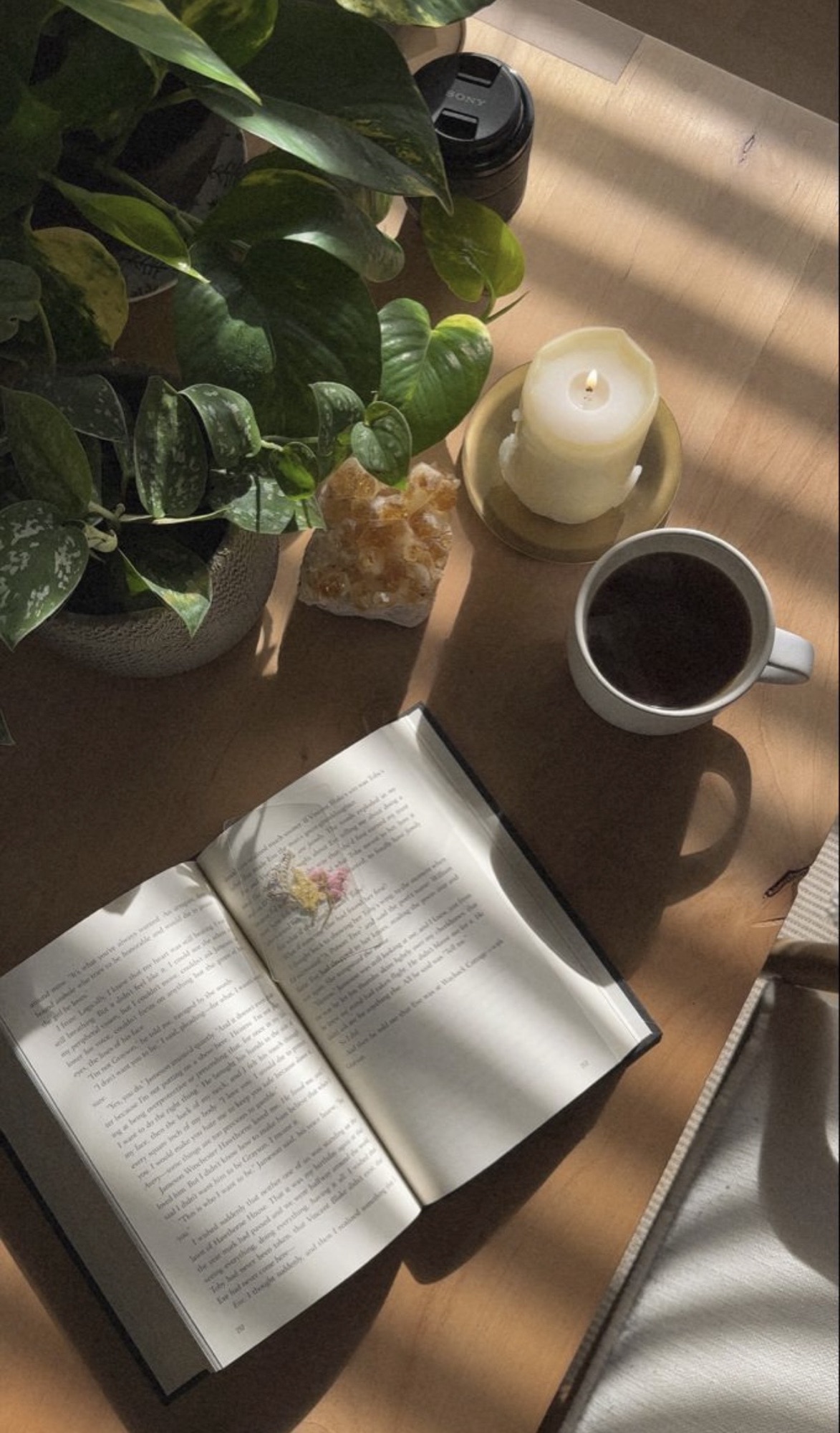 Life Lately: A Softer Pace – First-Gen Stories of Growth, Leadership & Life